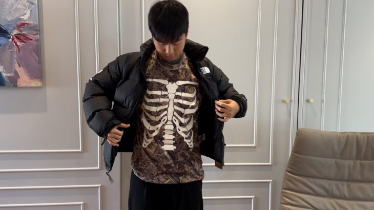 Supreme Week 9 The North Face FW24 Raymond Pettibon Collection-Nuptse ...